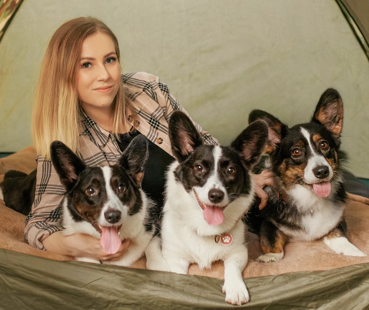kennel Mindful Fox – Welsh Corgide hobikasvatajad