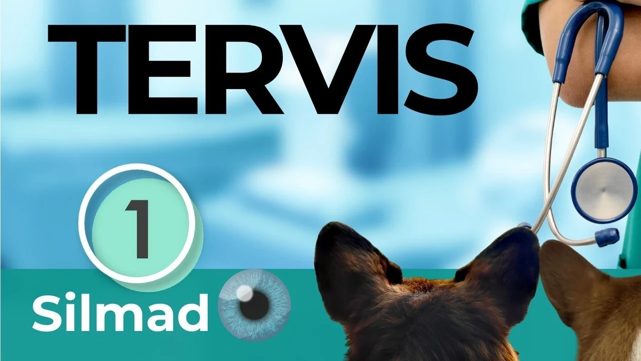 Silmad – Welsh Corgide hobikasvatajad